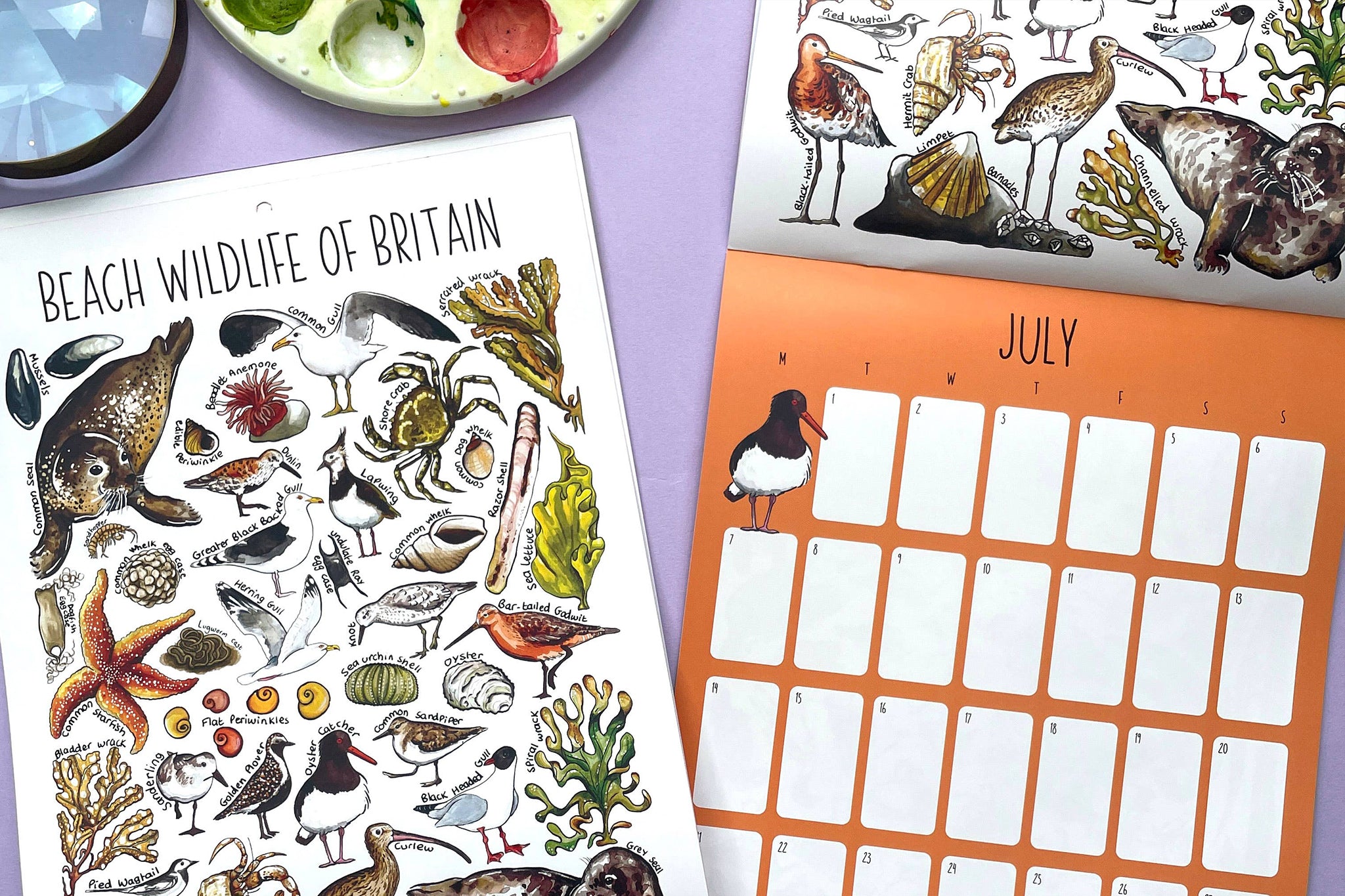 Calendars – The Wild Spark