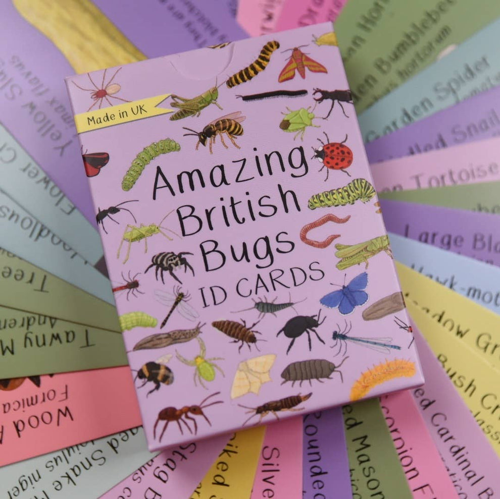 Amazing British Bugs ID Cards – The Wild Spark