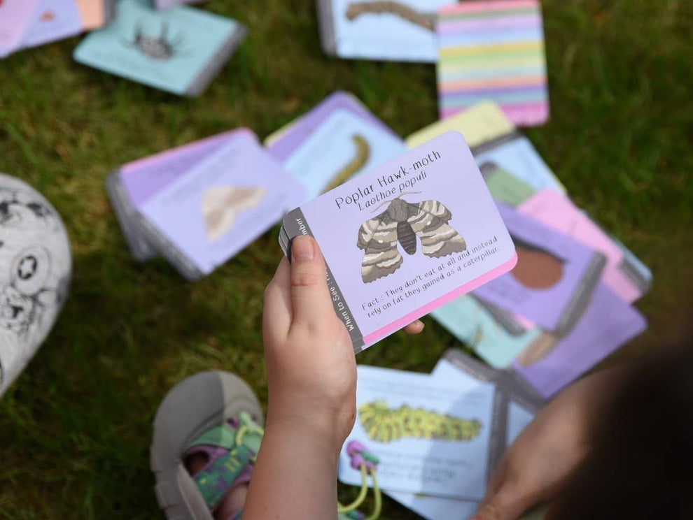Amazing British Bugs ID Cards – The Wild Spark
