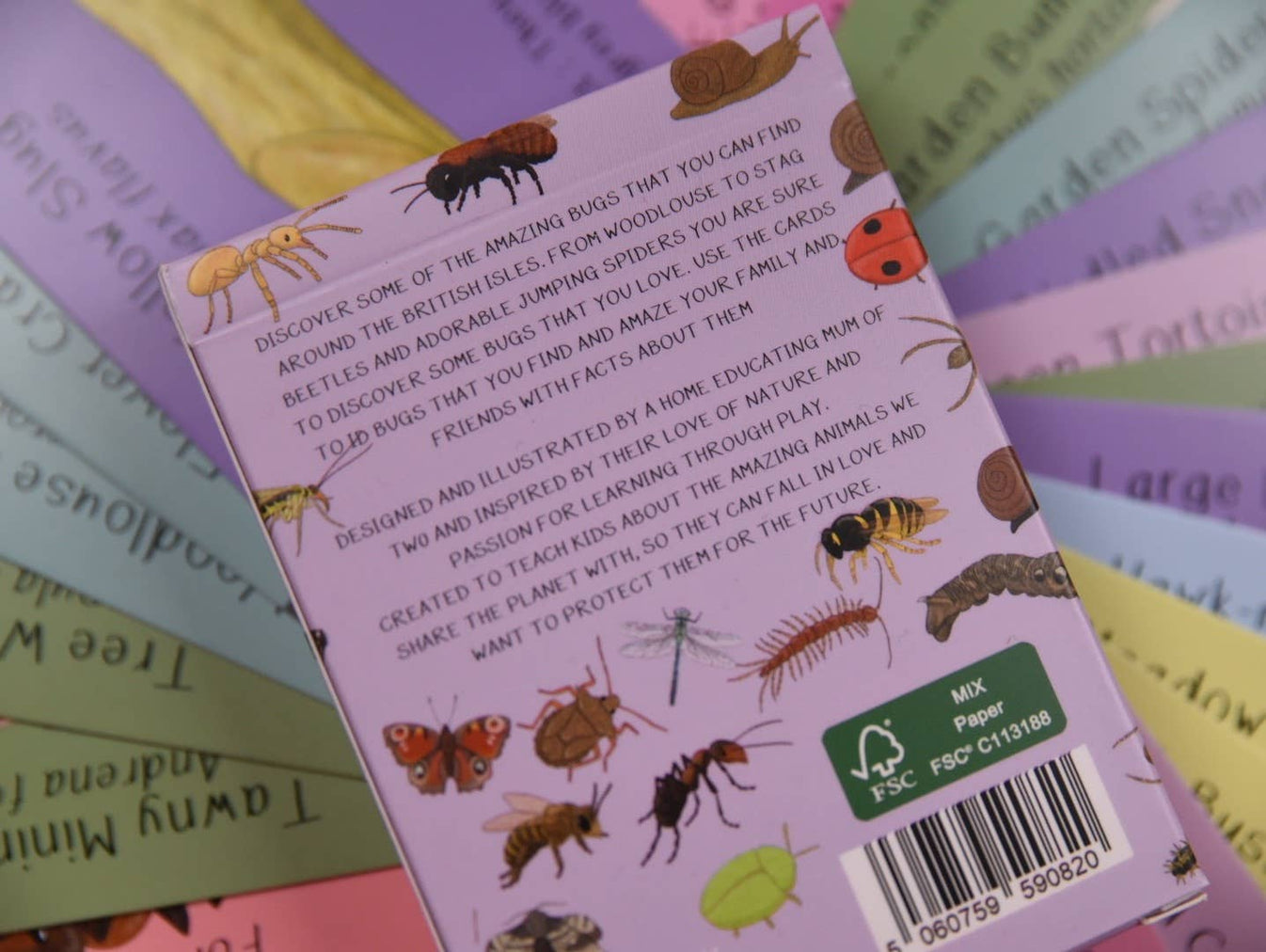 Amazing British Bugs ID Cards – The Wild Spark