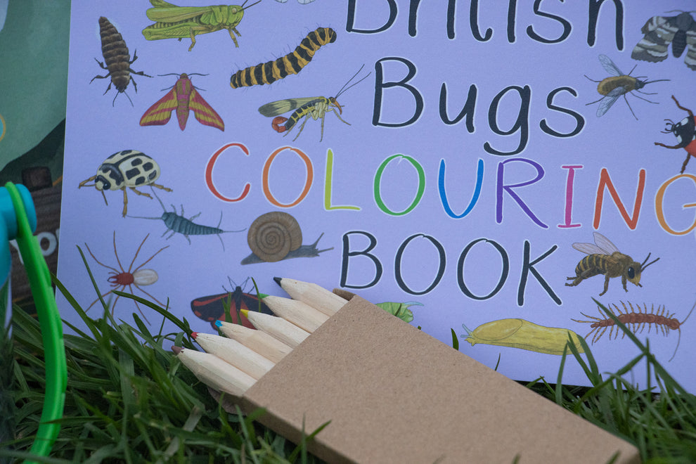 Bug Detective Bundle – The Wild Spark